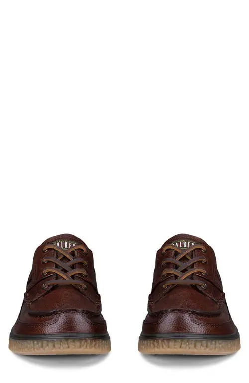 Ecco Walker 3.0 Plain Toe Derby - Camel