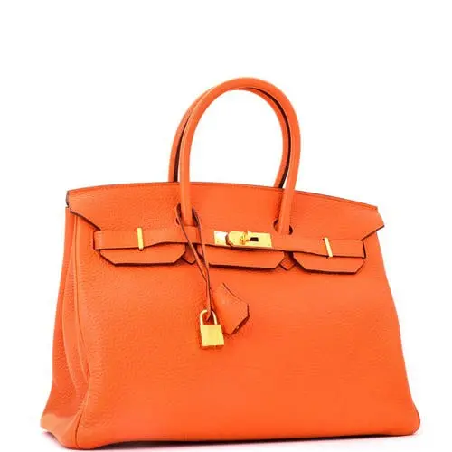 Hermès Birkin Handbag Togo With Gold Hardware 35