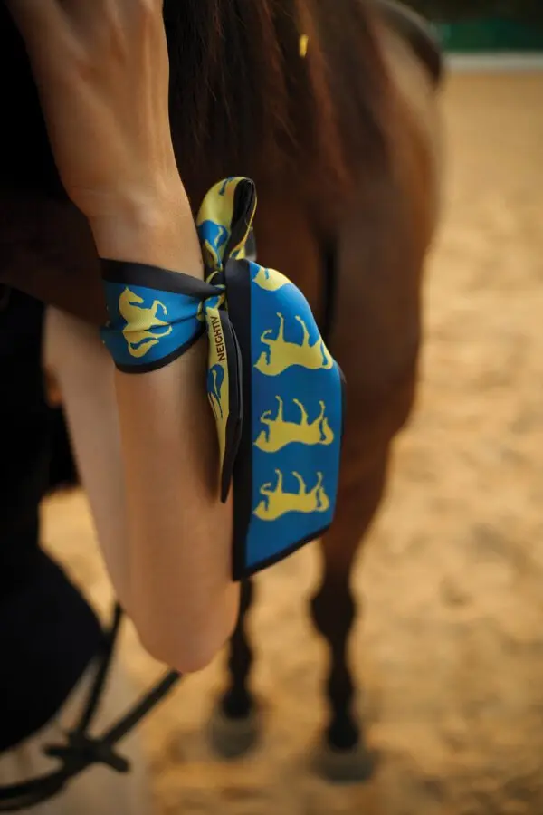 NEIGHTIV Dressage Rhythm Twilly