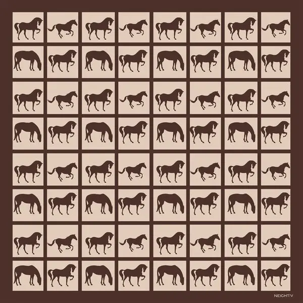 NEIGHTIV Equine Squares Small Scarf