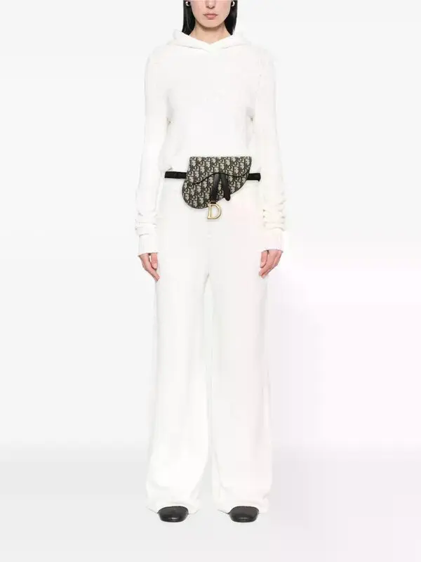 Dior 2019 Mini Oblique Canvas Saddle Pouch Belt Bag