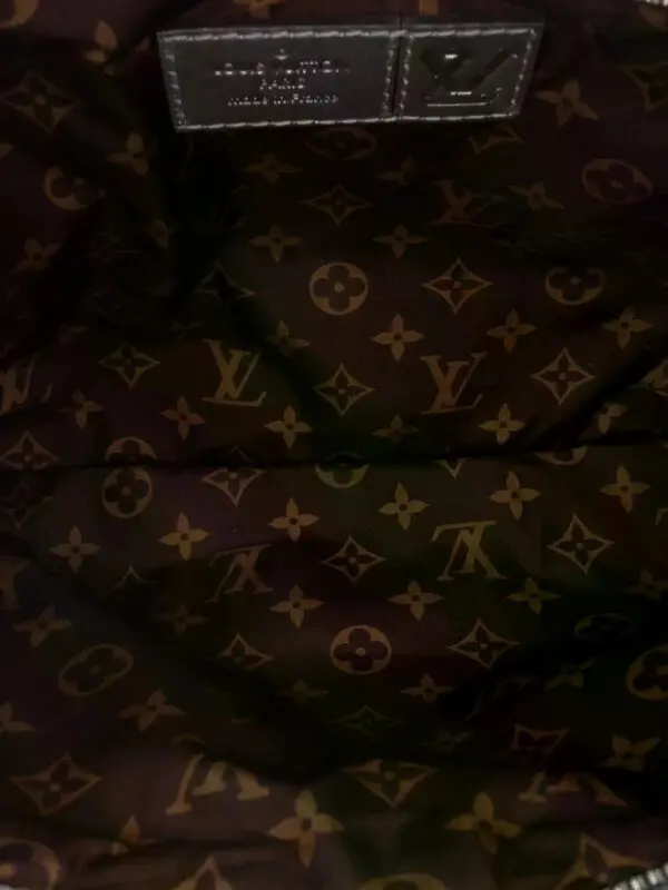 LOUIS VUITTON 2021-2026 Monogram Econyl Pillow Maxi Multi Pochette Accessoires Satchel