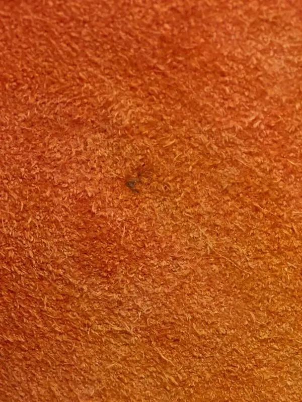 Hermès 2010 Pm Evelyne Iii Perforated Shoulder Bag - Orange
