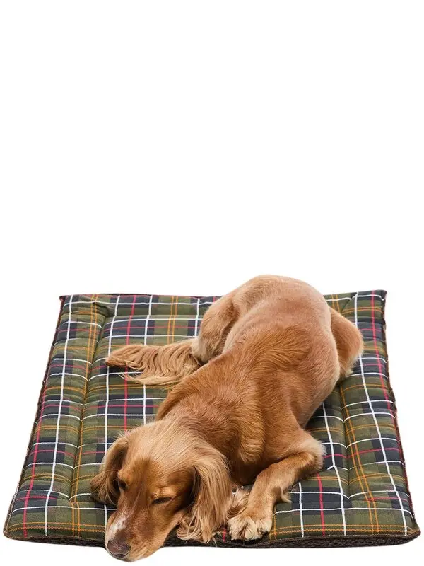 Barbour Stylish Mini Accessory For - Multicolour