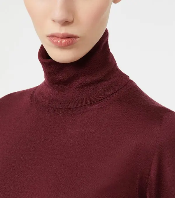 Max Mara Virgin Wool Rollneck Sweater