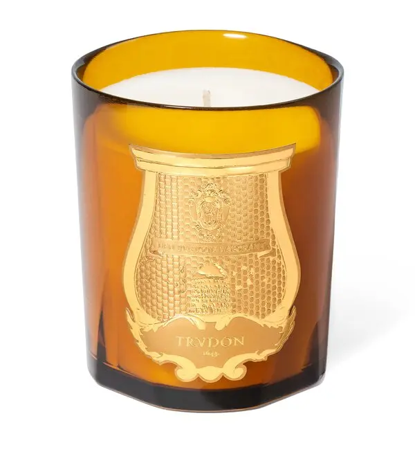 TRUDON Altaïr Candle - Brown