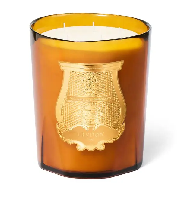 TRUDON Altaïr Candle - Brown