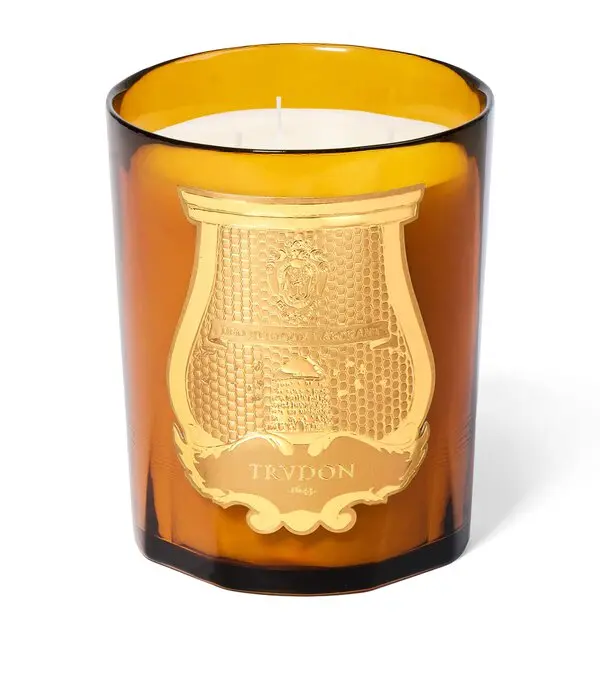 TRUDON Altaïr Candle - Brown