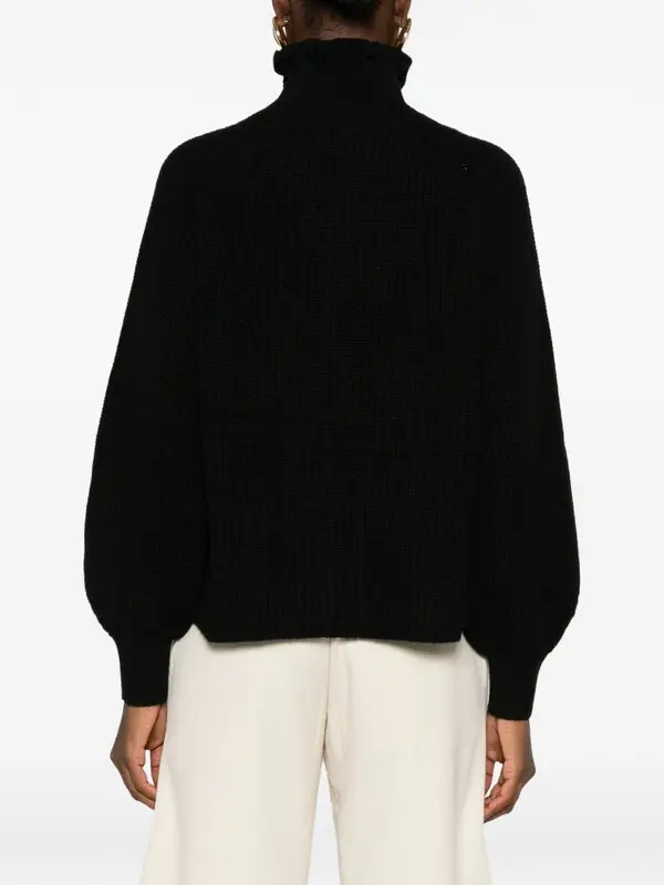 Max Mara Pontile Turtleneck Knitted Sweater