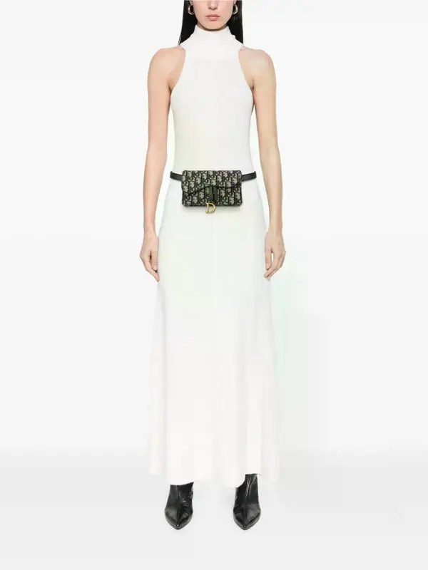 Dior 2020 Oblique Canvas Saddle Belt Bag