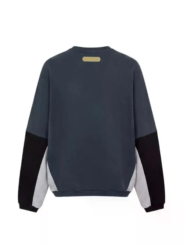 PDF Alare Graphic-print Panelled Sweatshirt