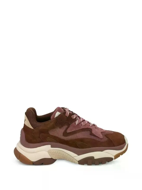 Ash Addict Panelled Sneakers - Brown