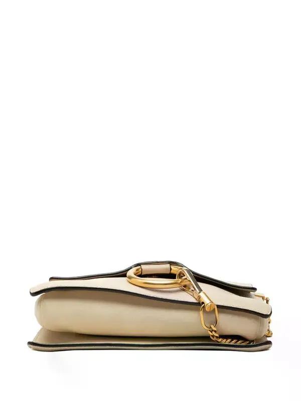 Chloé 2017 Small Goatskin Faye Crossbody Bag