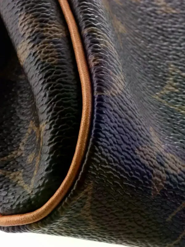 LOUIS VUITTON Eva Handbag Monogram Canvas Clutch Bag