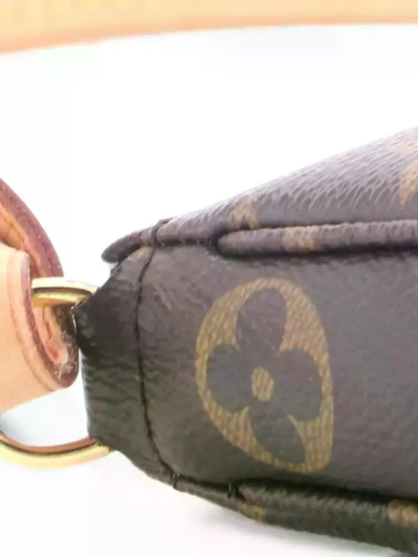 LOUIS VUITTON Pochette Accessoires Nm Monogram Canvas Clutch Bag - Brown