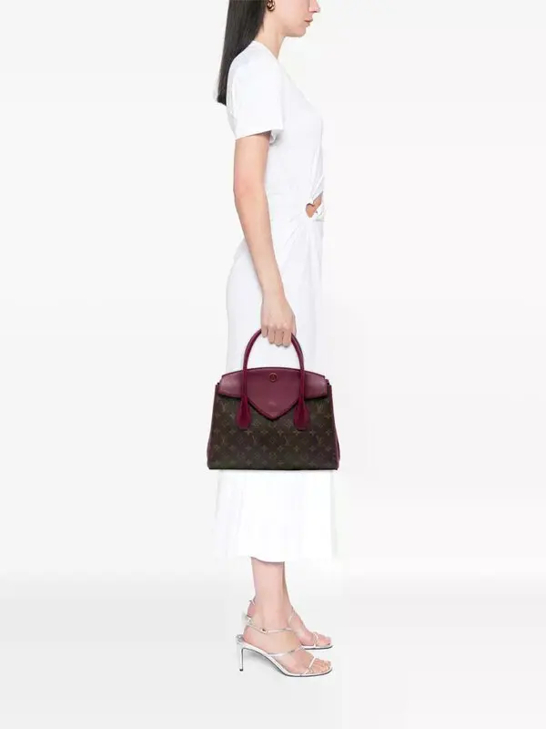 LOUIS VUITTON 2017 Monogram Florine Satchel