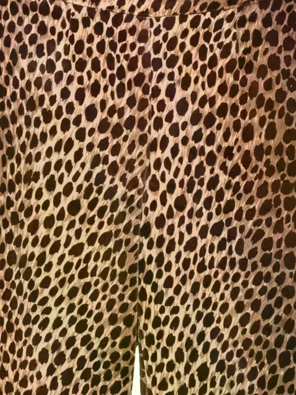 Dolce & Gabbana 2000s Leopard-print Trousers