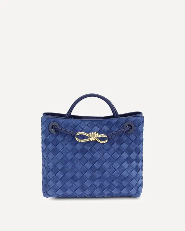 Bottega Veneta Andiamo Small Handbag - Blue