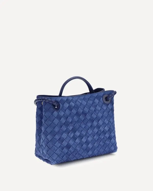Bottega Veneta Andiamo Small Handbag