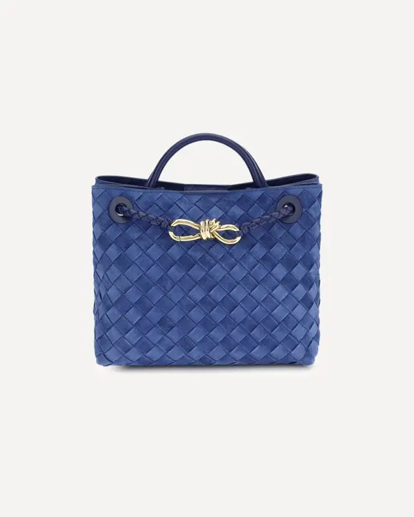 Bottega Veneta Andiamo Small Handbag