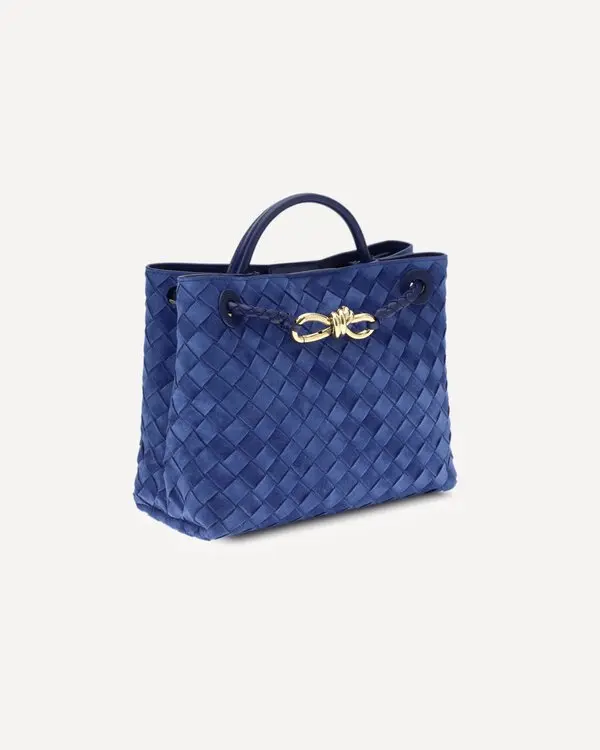 Bottega Veneta Andiamo Small Handbag