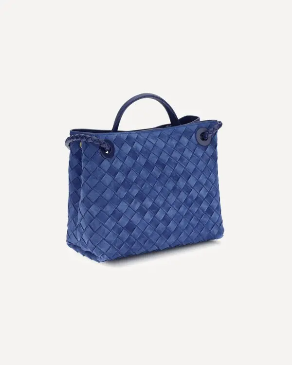 Bottega Veneta Andiamo Small Handbag