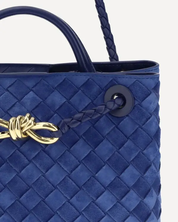 Bottega Veneta Andiamo Small Handbag