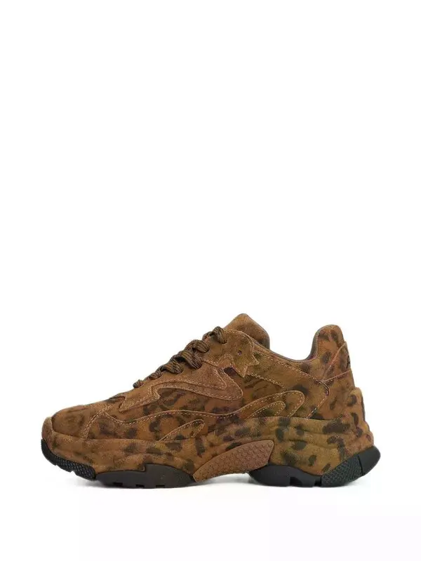 Ash Addict Bis Leopard-print Low-top Sneakers