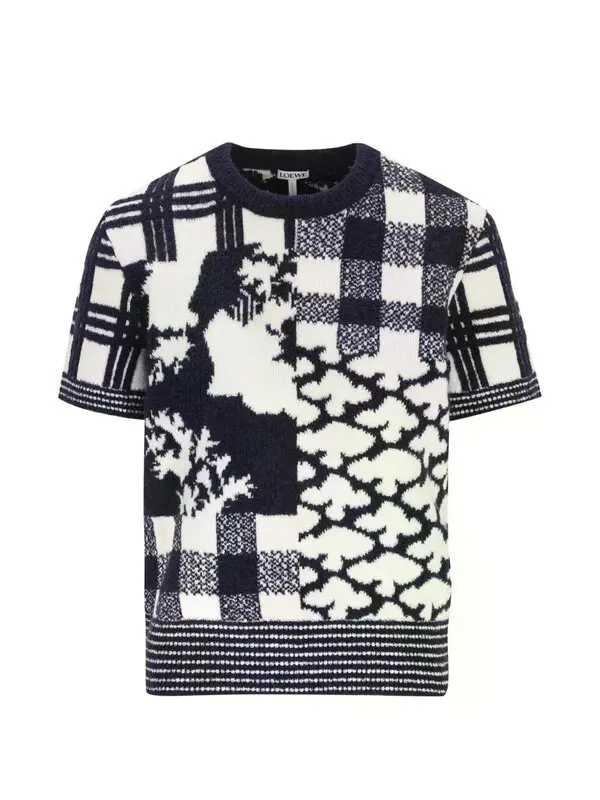 Loewe X Cosima Von Bonin Short-sleeve Sweater