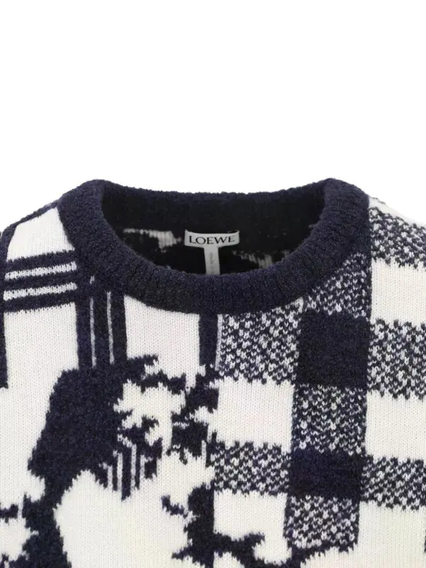 Loewe X Cosima Von Bonin Short-sleeve Sweater
