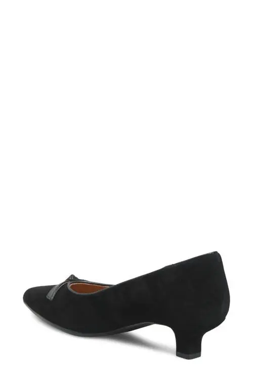 SOFFT Shannon Pump