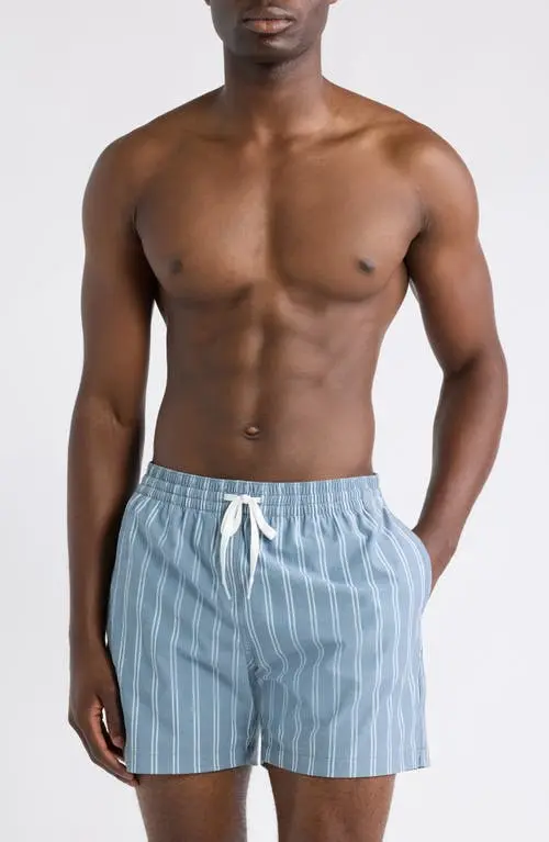 CHUBBIES Are You Shores Striped 5.5-inch Swim Trunks - Navy