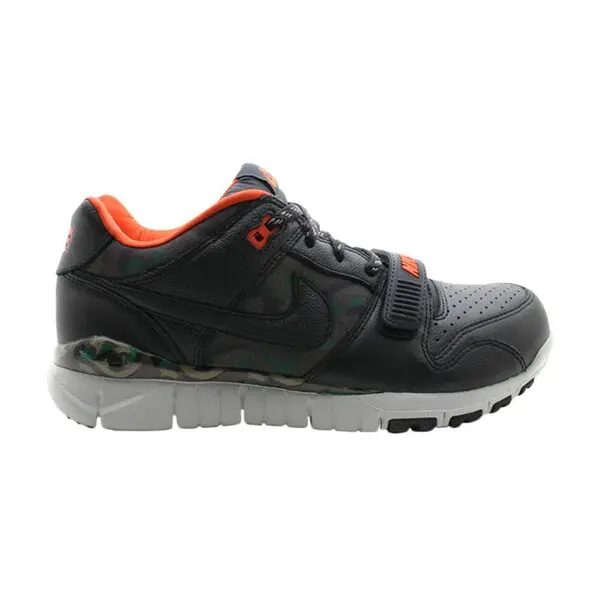Nike Trainer Dunk Low