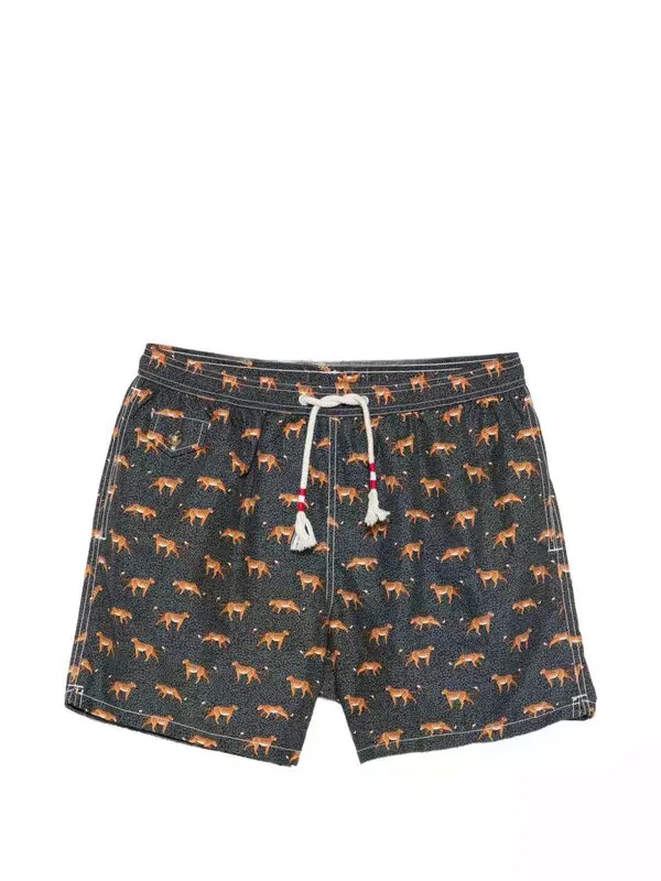 MC2 SAINT BARTH Lighting Micro Fantasy Swim Shorts