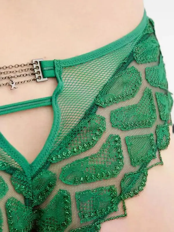 Chantelle Lace-trimmed Mesh Briefs