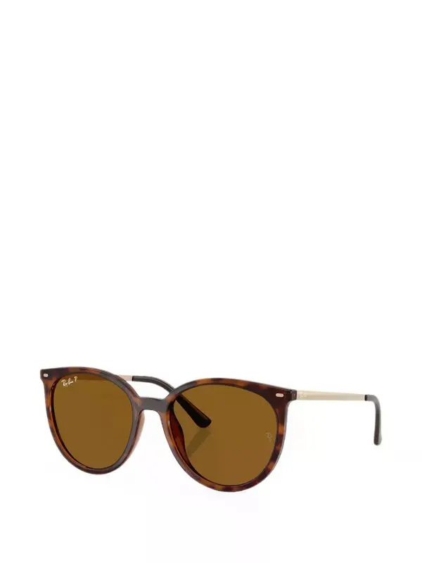 Ray-ban Round-frame Sunglasses - Brown