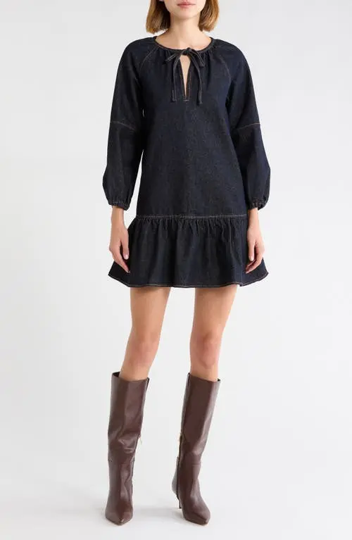WAYF Sawyer Long Sleeve Denim Minidress