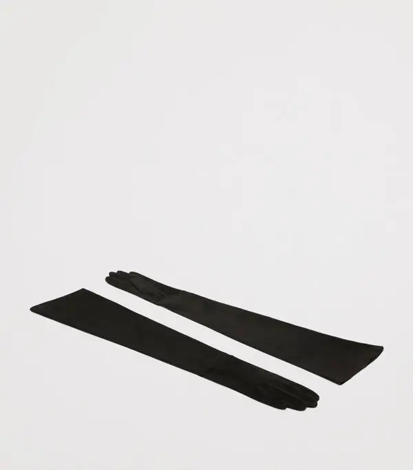 Max Mara Lamb Suede Long Gloves