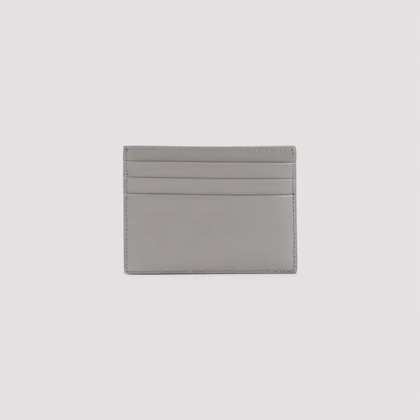 Celine Triomphe Card Holder - Multicolor