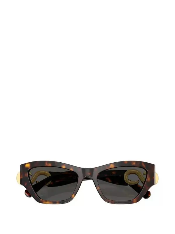SWAROVSKI Crystal-embellished Cat-eye Sunglasses - Brown
