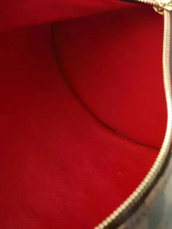 LOUIS VUITTON 2006 Damier Ebene Papillon 30 Handbag