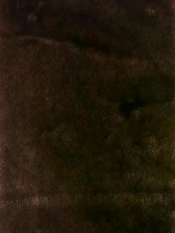 P.a.r.o.s.h Faux-fur Scarf