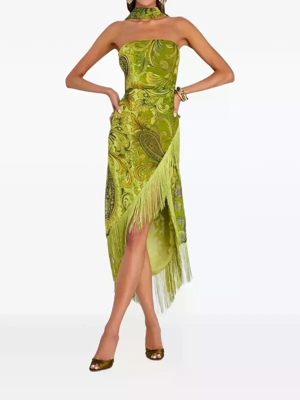 Retrofete Statice Paisley-burnout Velvet Dress - Green