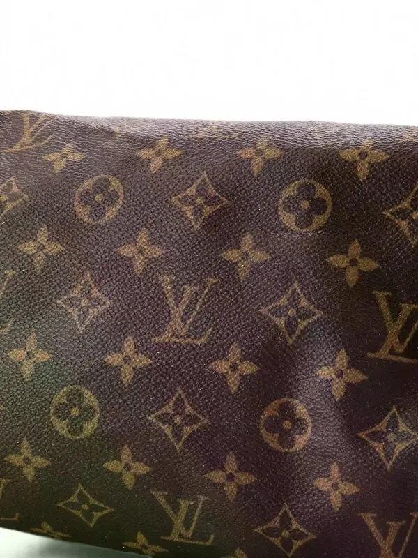 LOUIS VUITTON Speedy Handbag Monogram Canvas 25 Satchel
