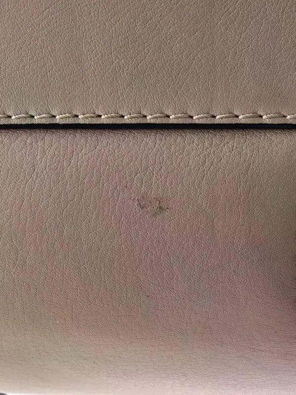 Loewe Hammock Bag Leather And Canvas Mini Crossbody Bag