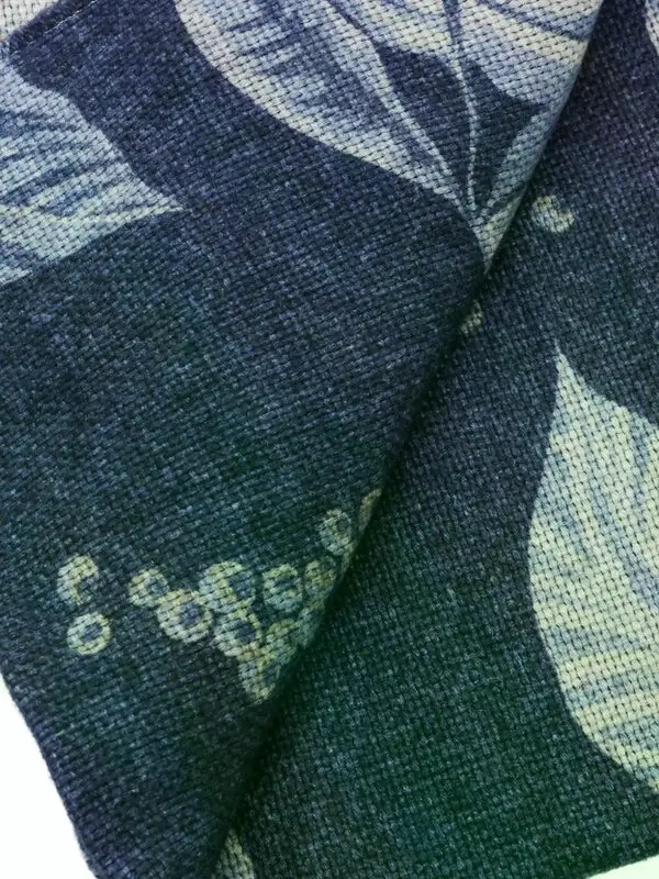 Altea Floral-print Wool Scarf