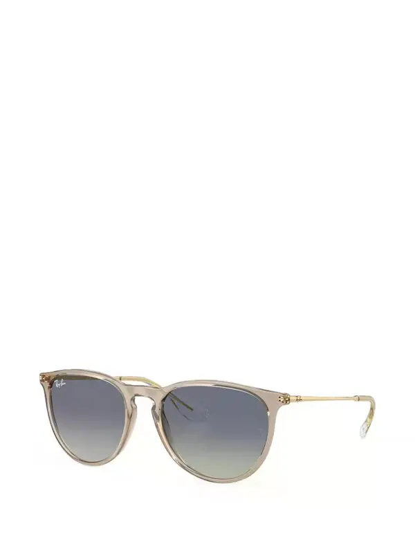 Ray-ban Erika Classic Sunglasses - Neutrals