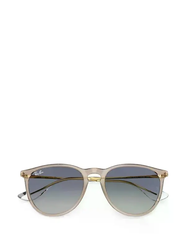 Ray-ban Erika Classic Sunglasses - Neutrals