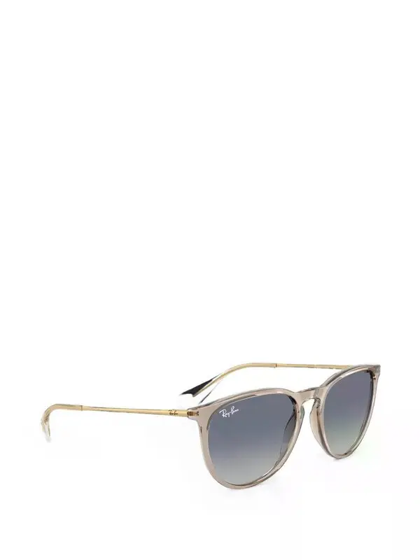 Ray-ban Erika Classic Sunglasses