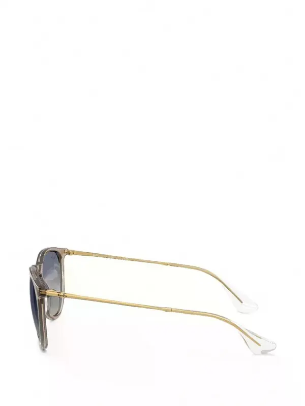 Ray-ban Erika Classic Sunglasses